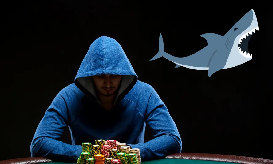 Personality and Strategy in Poker: How Players Choose a Playing Style